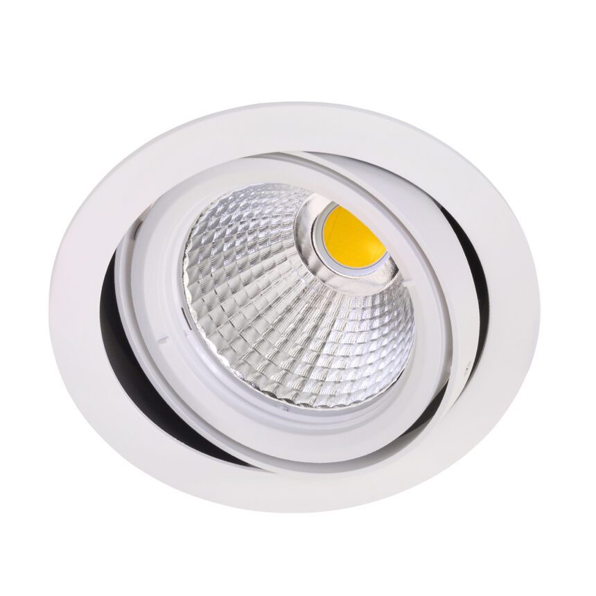 LED SPOT LIGHT 12 WATT - Yanvisolar